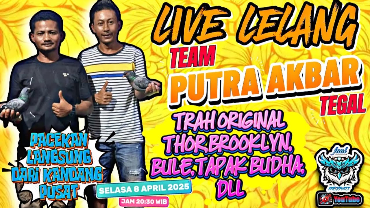 LIVE LELANG KENWOOD TEGAL//BANG PEONG//MKT CHANNEL//KACAK MERPATI ...