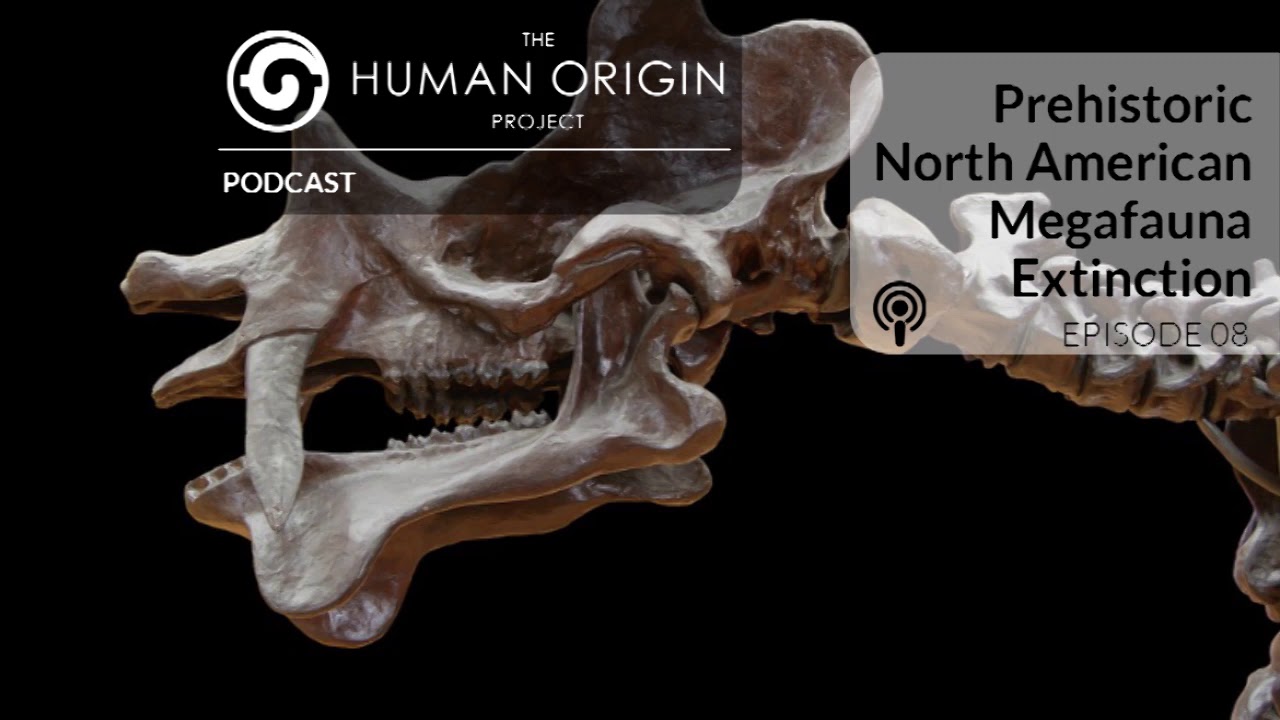 HOP Podcast #8: Prehistoric North American Megafauna Extinction - YouTube