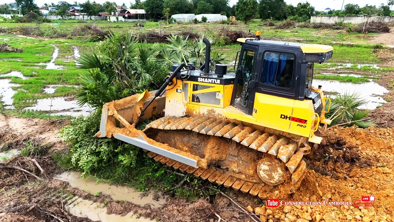 Best Activities Skilled Shantui Dozer Break Down Trees Easily & Dump ...