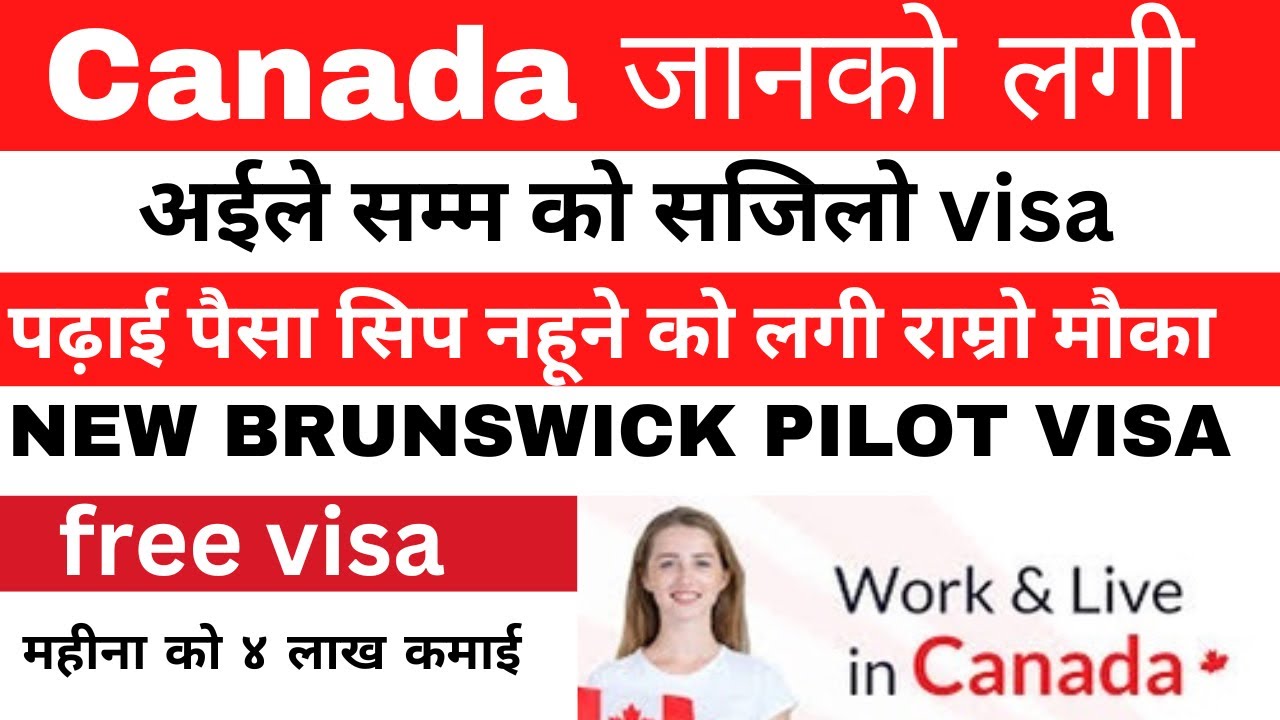 free मा Canada जाने मैका | canada new brunswick pilot program 2022 in ...