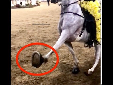 GRAPHIC VIDEO SHOWS \