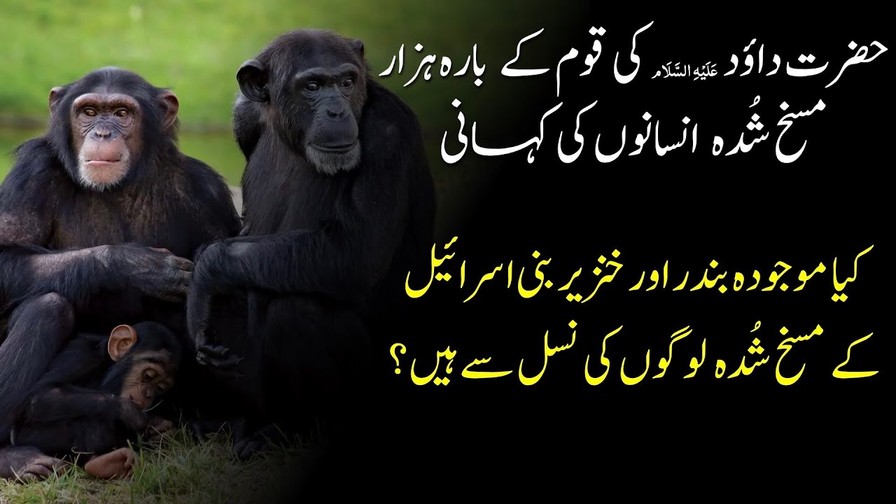 The Transformation of Twelve Thousand People into Mutilated Monkeys ...