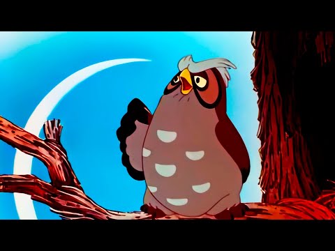 Это что за птица? (1955) Советский мультфильм в хорошем качестве