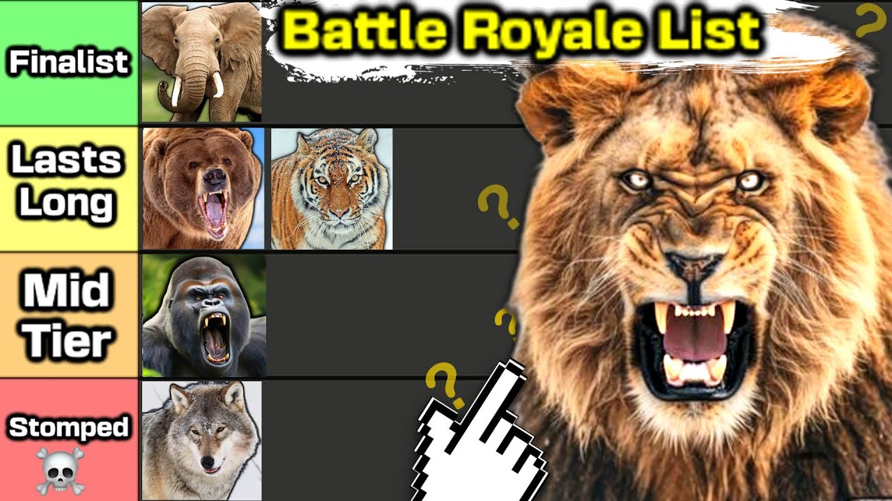 Ranking ANIMALS of Who Wins in a BATTLE ROYALE - YouTube