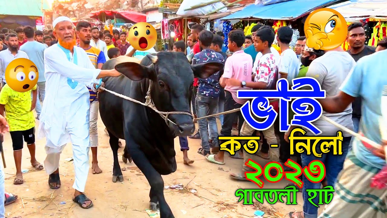 Bhai Koto Nilo? Gabtoli Gorur Haat 2023 Part-30, Qurbani Cow Price in ...