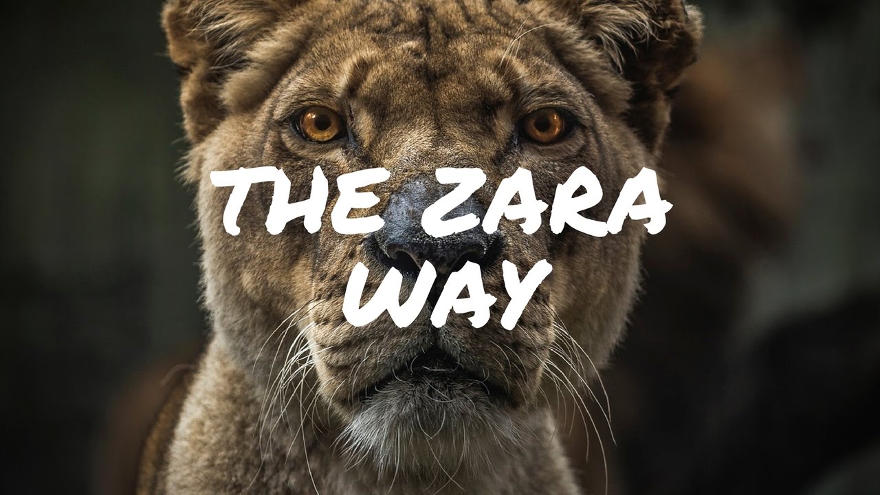 The Zara Way: How Inditex beats the competition (Business model) - YouTube