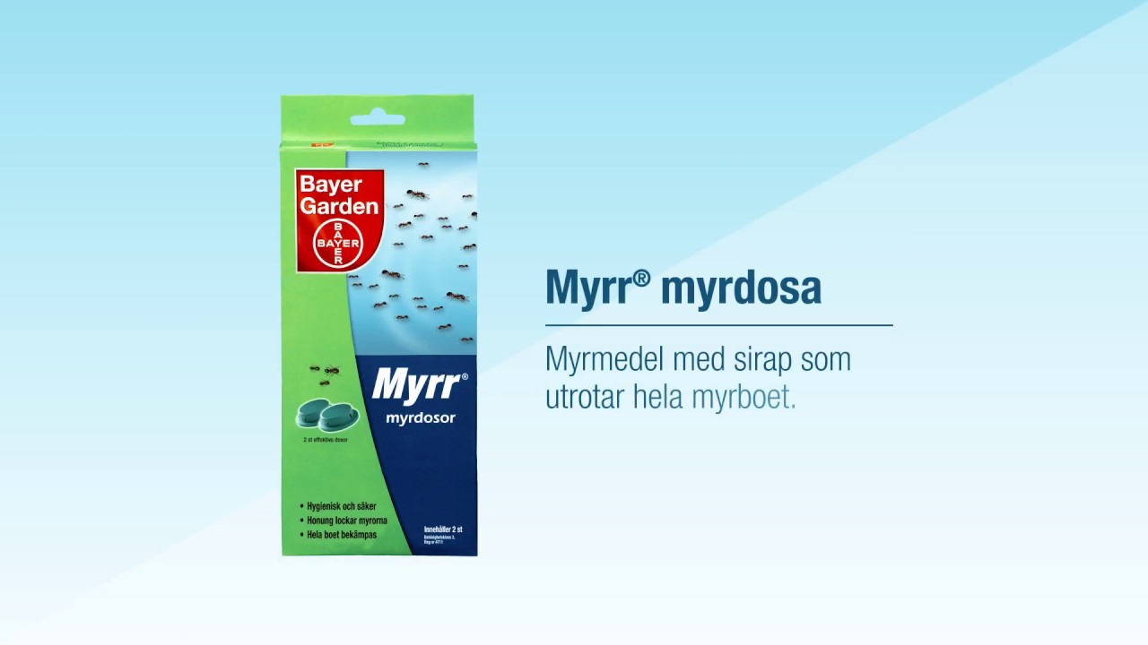 Myrr Myrdosa - YouTube