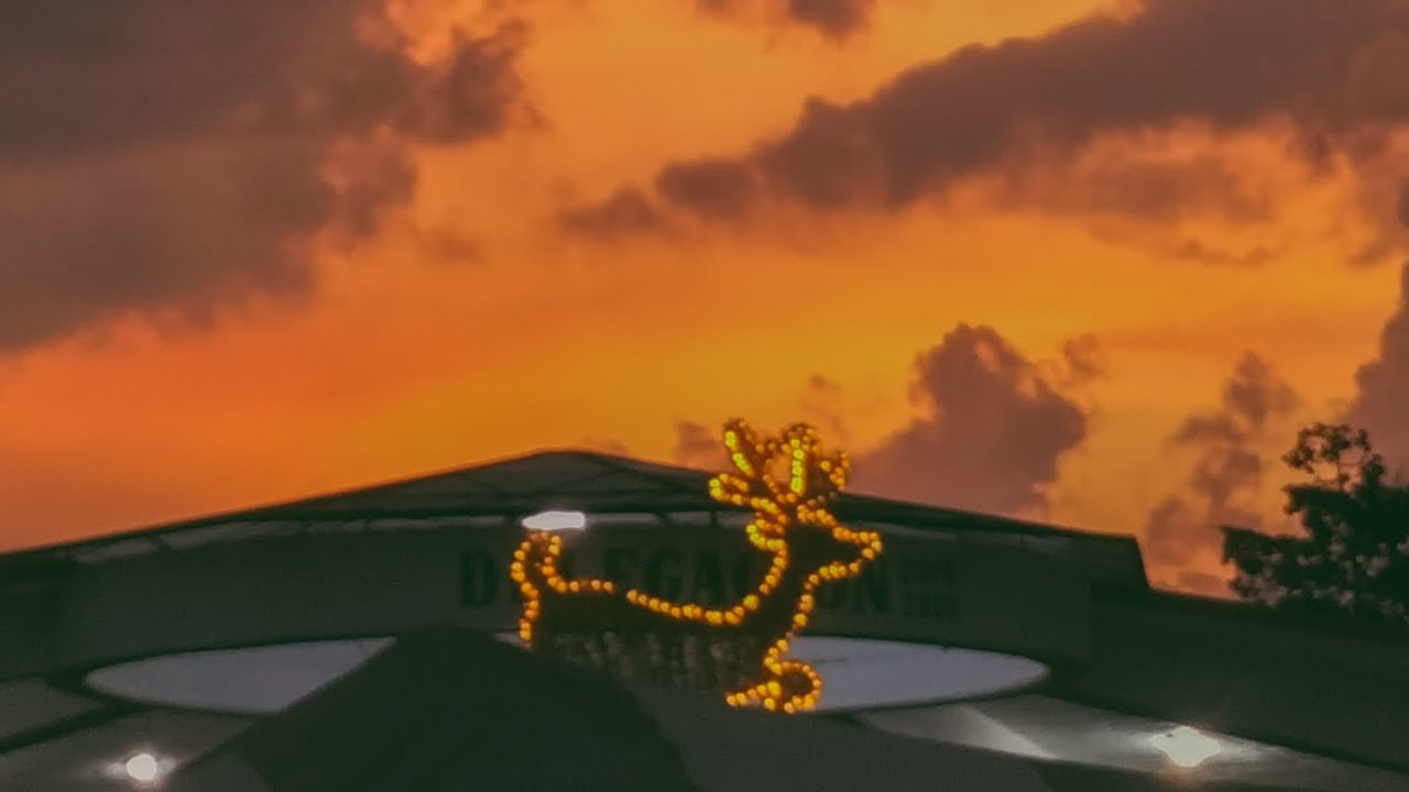 Shesy - La vida no es como contó mamá - YouTube