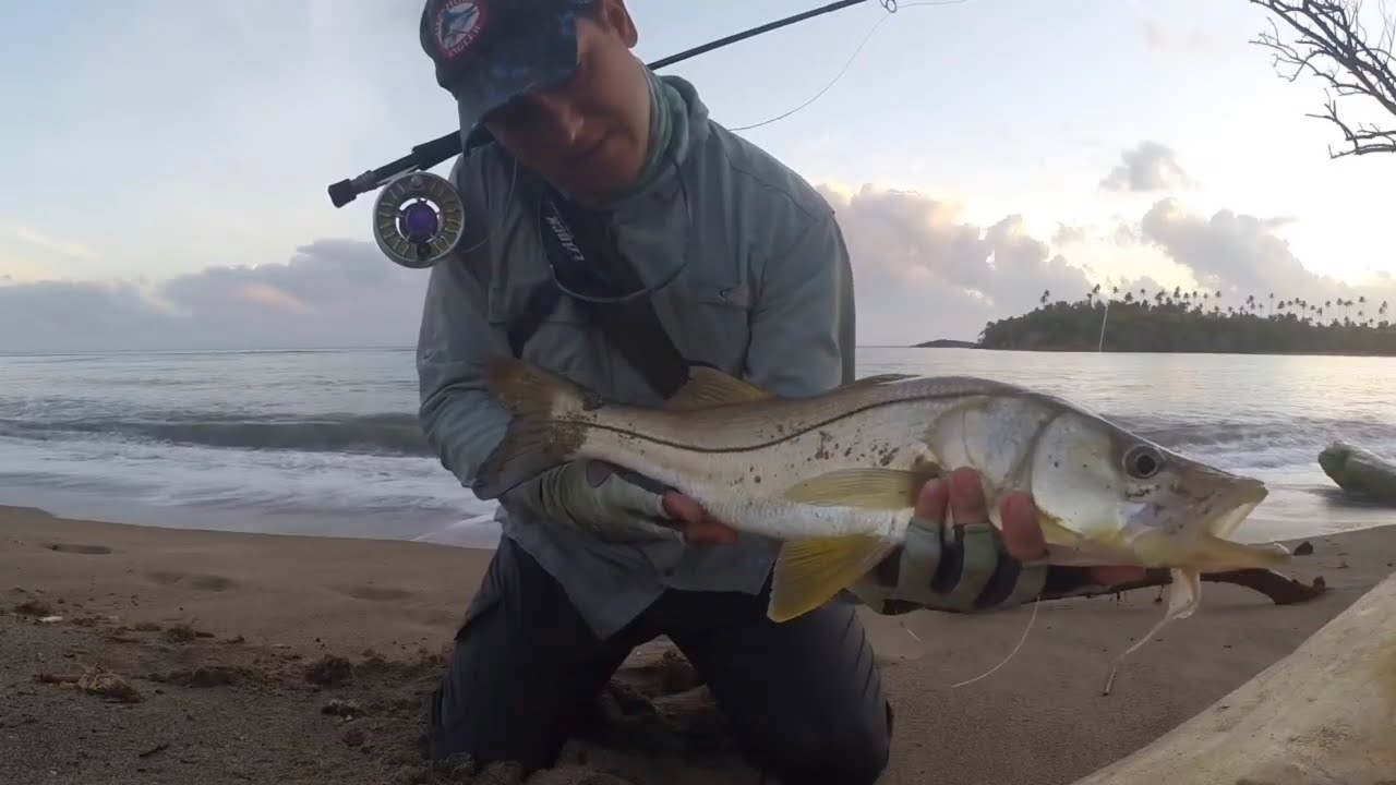 Snook On the Fly fishing - YouTube