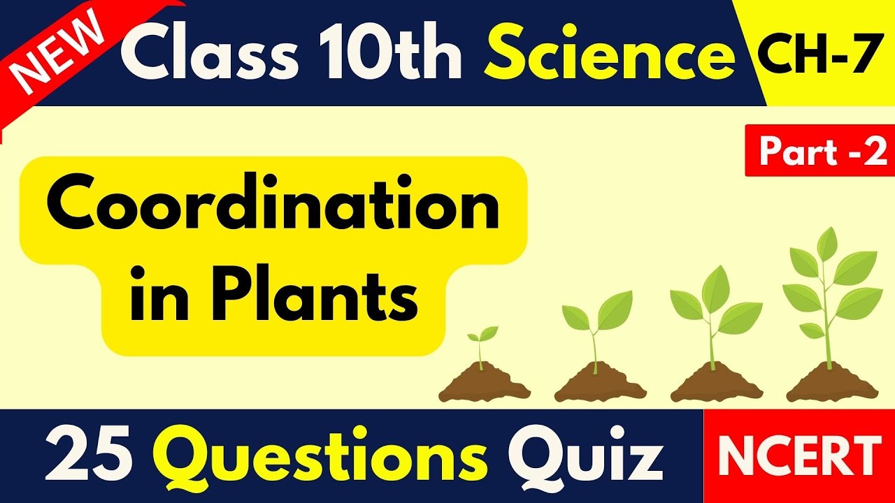 🌱 Control and Coordination Class 10 Science Quiz | Coordination in ...