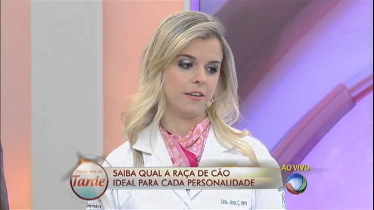 Programa da Tarde: Saiba qual a raça de cão ideal para você - YouTube