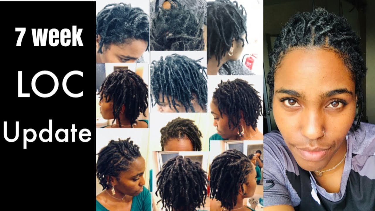 7 WEEK LOC UPDATE || STARTER LOCS || Nappy Missy 101 - YouTube