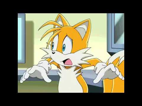 Tails Looking for Hiding Place for 10 Hours - YouTube