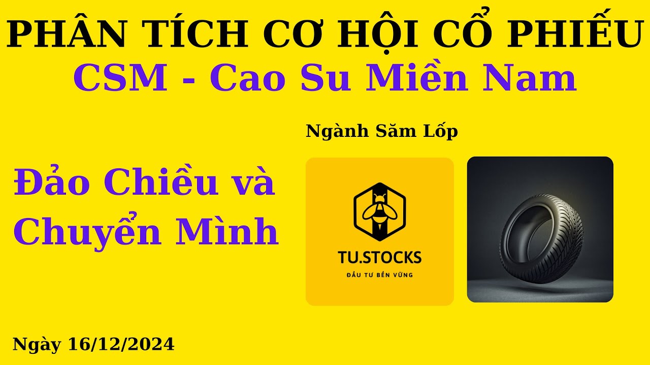 Phân tích cổ phiếu CSM (Casumina): Đảo Chiều và Chuyển Mình | Ngành Cao ...
