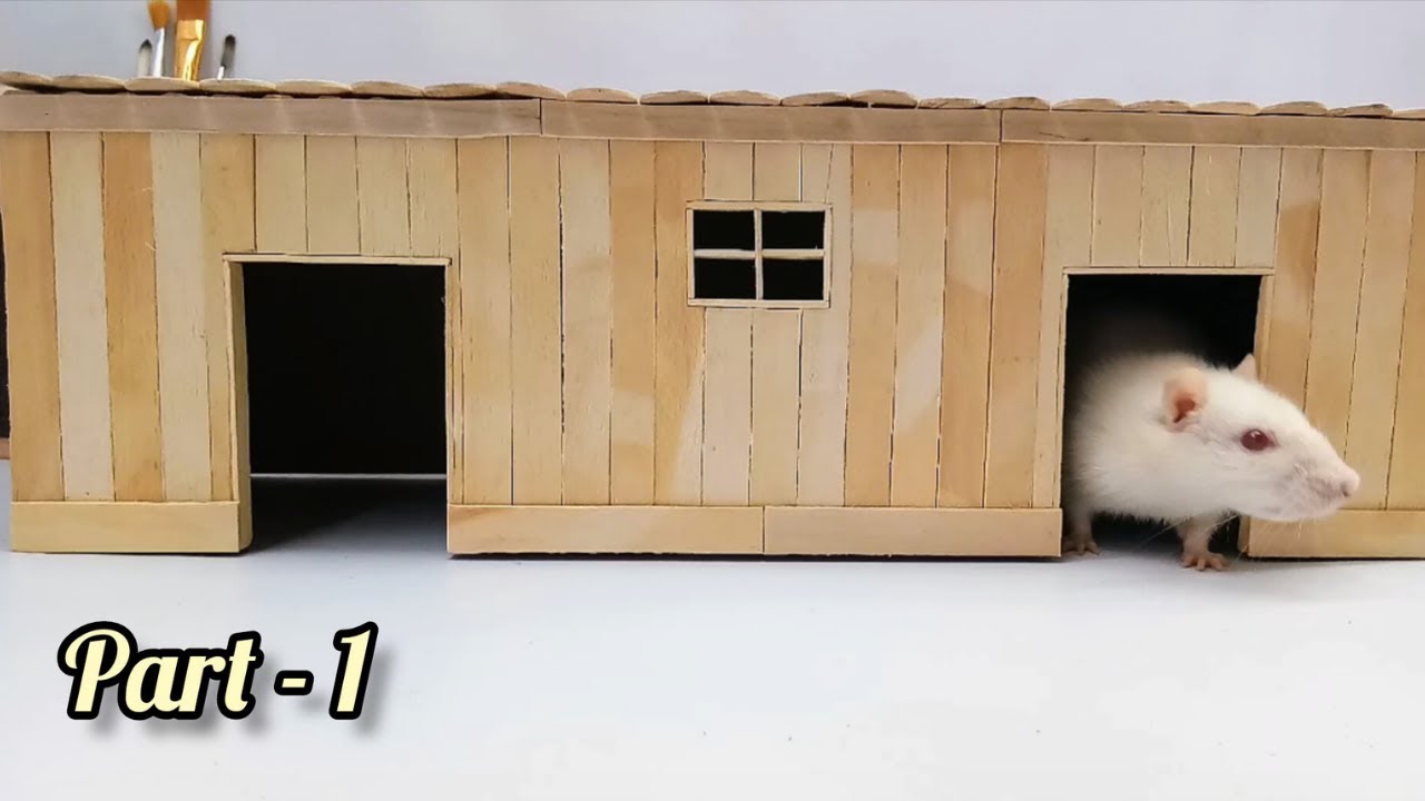 Rat House DIY: Crafting a Cozy Home for your Furry Friend 🐹🏠 - YouTube