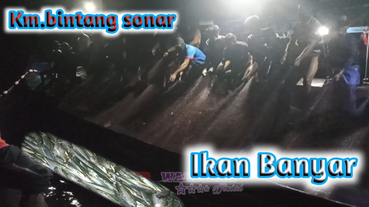 VIRAL🛑Km.bintang sonar prigi mendapat ikan banyar 25 ribu per kilogram - YouTube