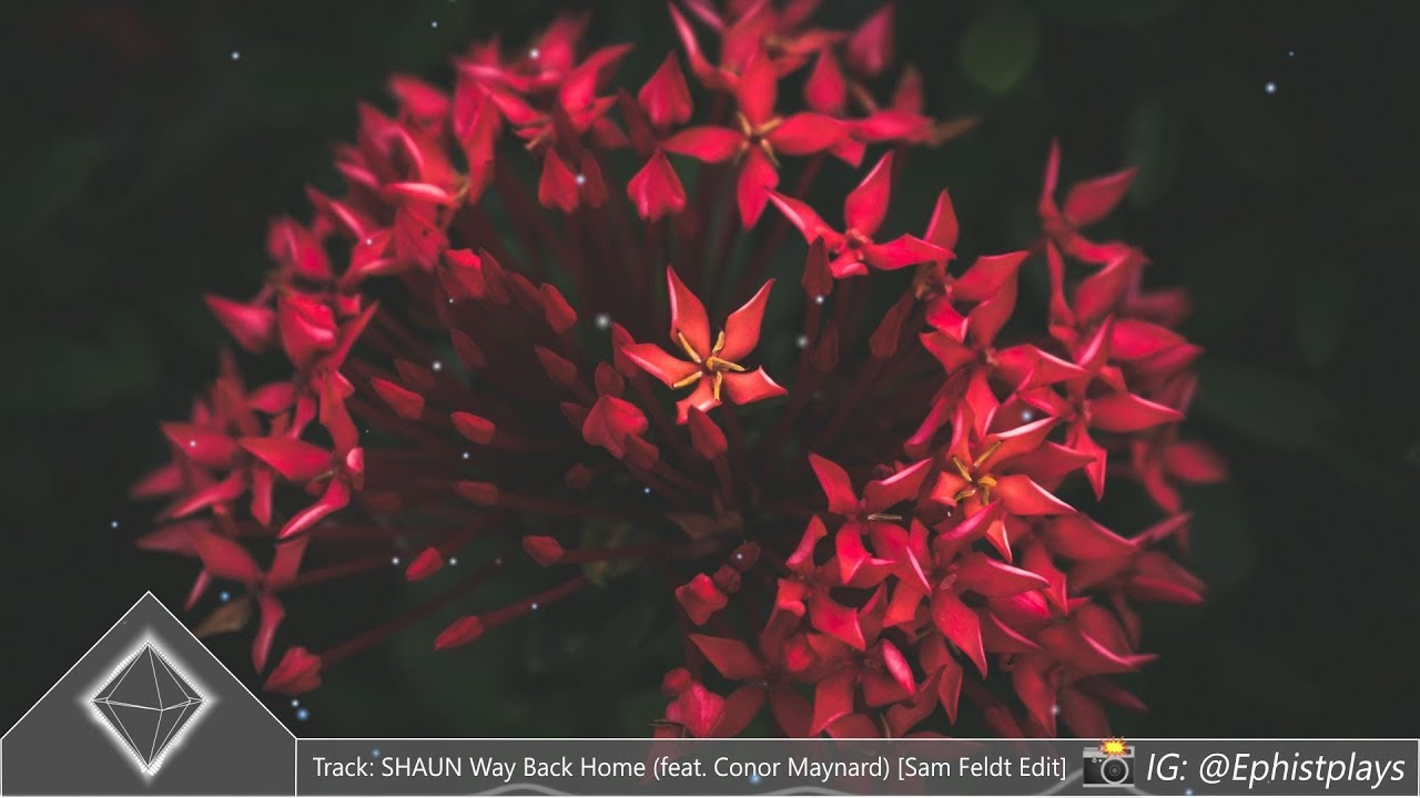 SHAUN Way Back Home (feat. Conor Maynard) [Sam Feldt Edit] - YouTube