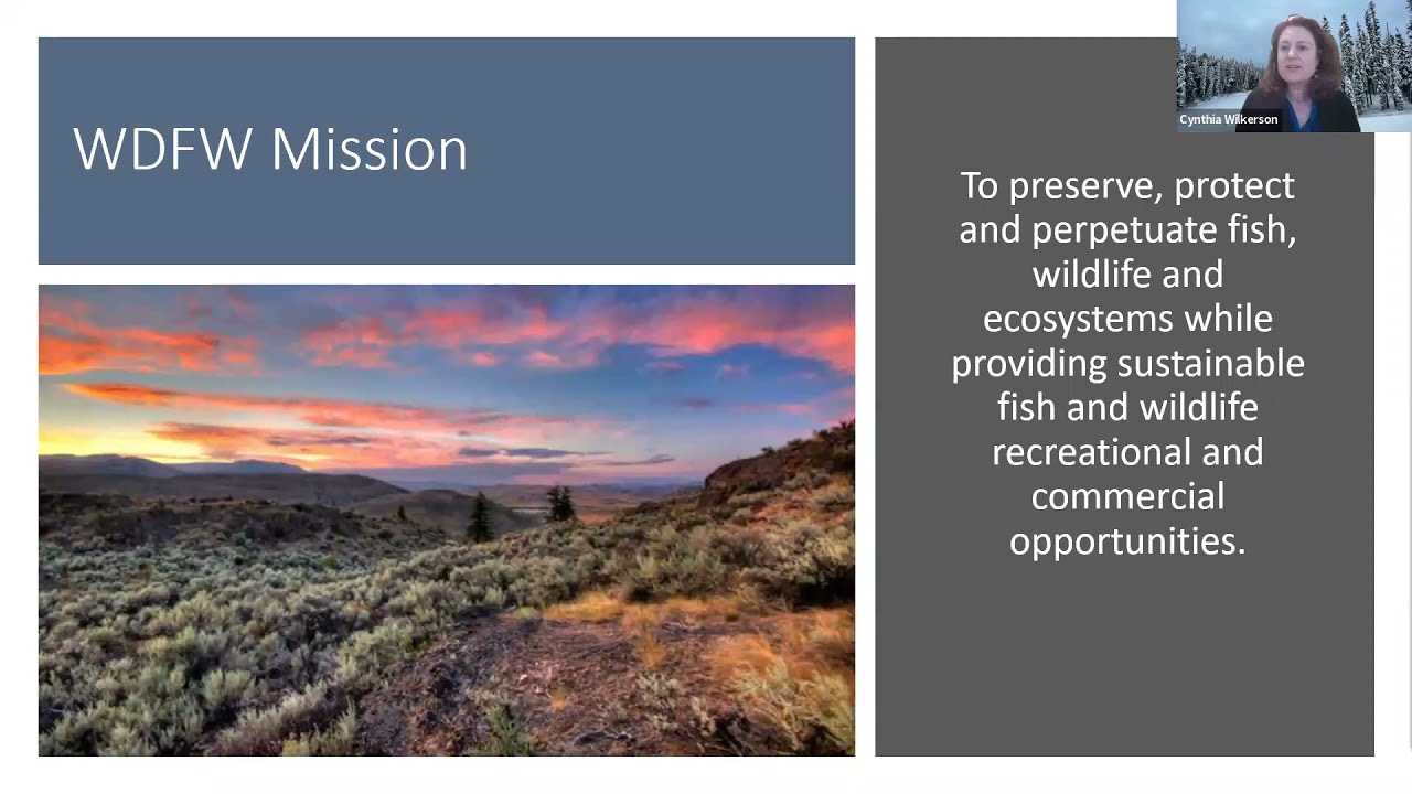 Public Meeting: Draft 10-year recreation strategy for WDFW-managed ...