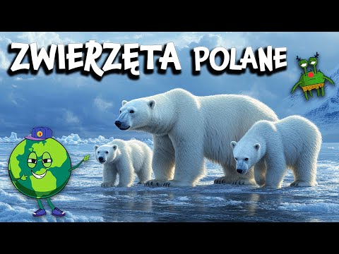 Zwierzęta Polarne 🐧❄️ - Film Edukacyjny dla Dzieci | Lisy Polarne, Niedzwiadzie, Renifery, Pingwiny