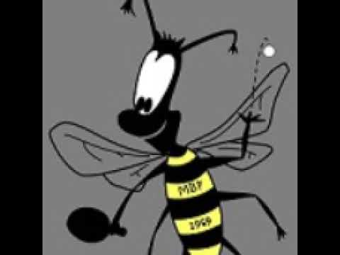 Pongfinity Cup 2025 Saturday 1 February - Camera 1 - YouTube