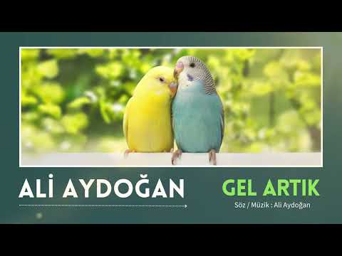 Ali Aydoğan - Gel Artık (Official Audio)