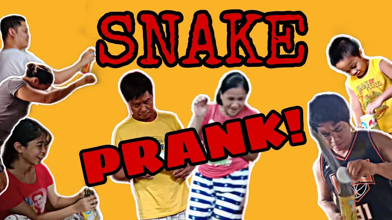 POP UP SNAKE PRANK ON MY FAMILY AND FRIENDS (NAKAKATAWA PROMISE) | Vlog ...