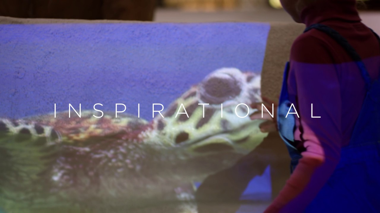 ThinkPad Stack Mobile Projector – Enjoy the Moment - YouTube