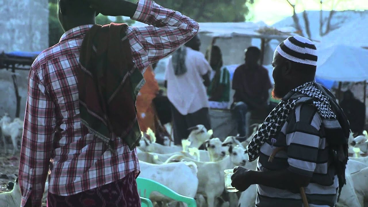 Focus on Somalia Bakara Livestock Market EP. 14 - YouTube