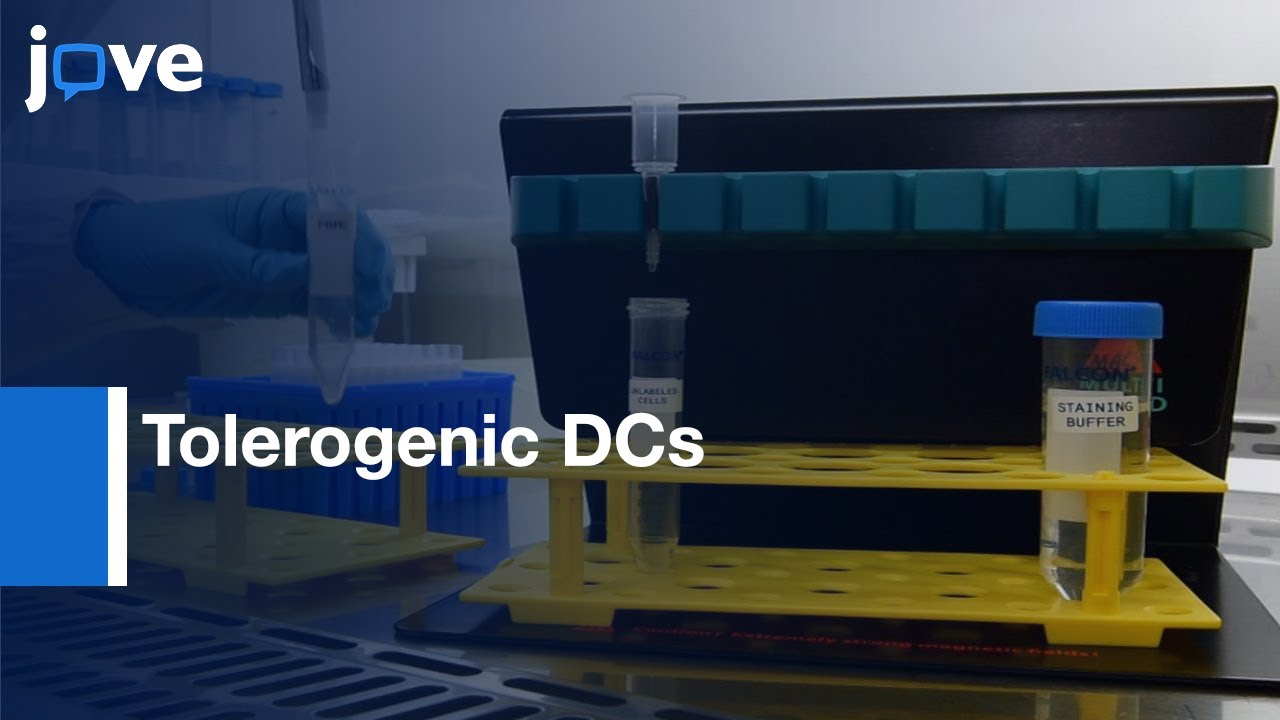 Tolerogenic DCs Generation with Differing Metabolic Phenotypes ...