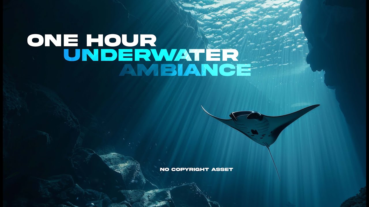 1-Hour Seamless Underwater Loop | SFX & Video Asset for Editors - YouTube