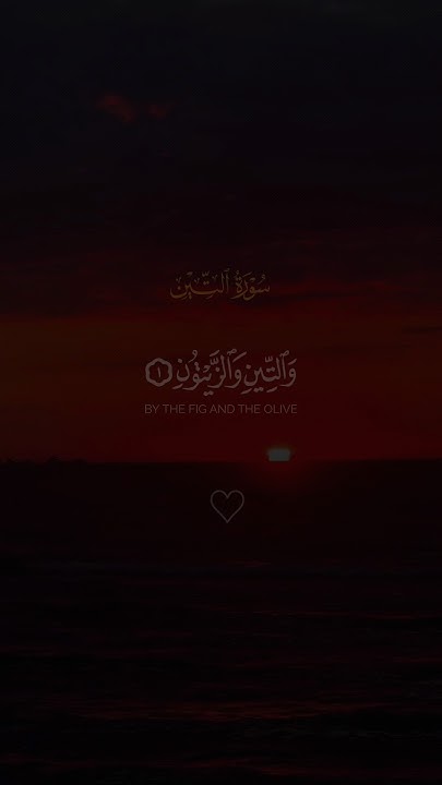 وتين والزيتونسورة التينالقارئماهرالمعيقلي رسولالله الله قرآنصلاة صلواعلىالنبي