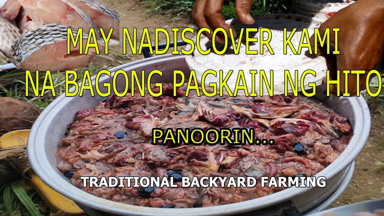 MAY NADISCOVER KAMI NA BAGONG PAGKAIN NG HITO | TRADITIONAL BACKYARD ...