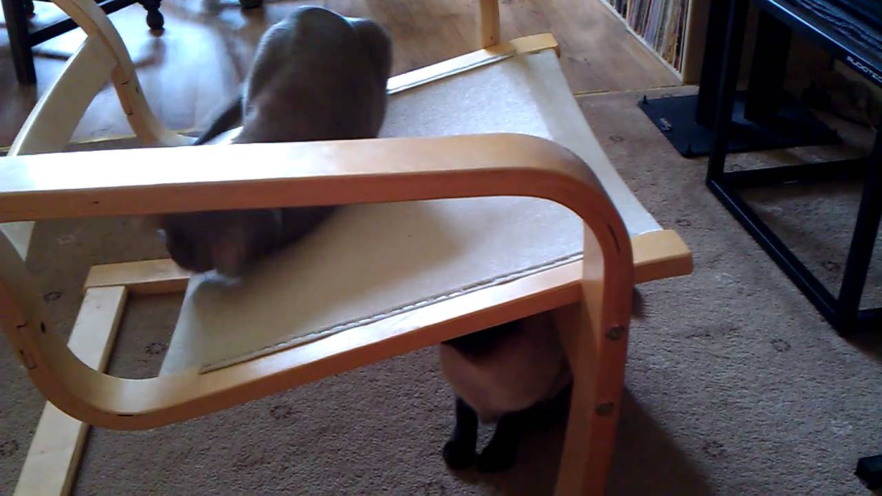 Chair fight - YouTube