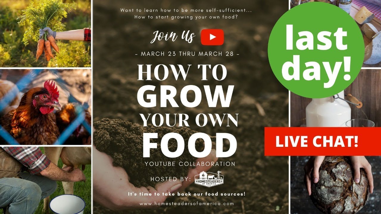 FINAL DAY | GROW Your OWN Food | How to Start a Garden - YouTube