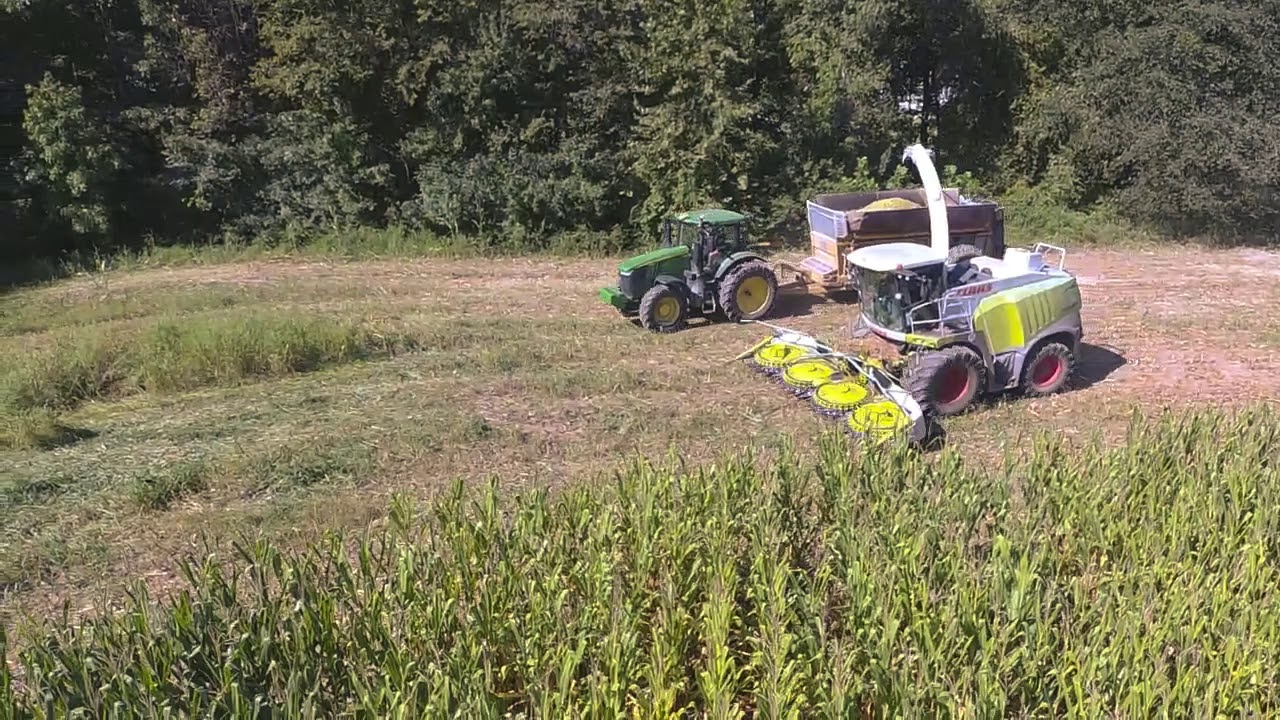 Corn Chopping 2019 - YouTube