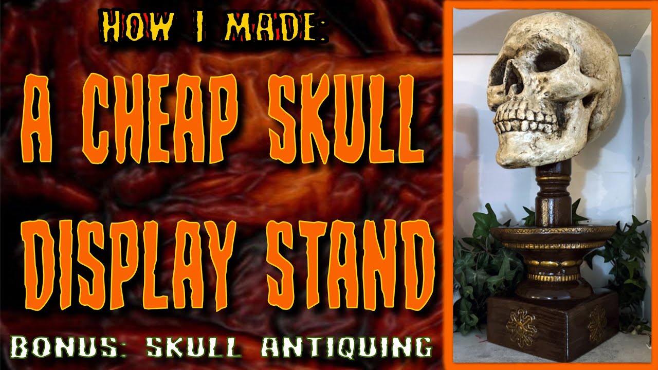 Cheap Skull Display Stand with Bonus: Skull antiquing - YouTube