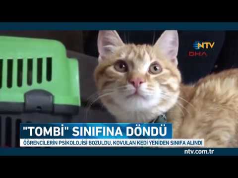 ''Tombi'' sınıfına döndü