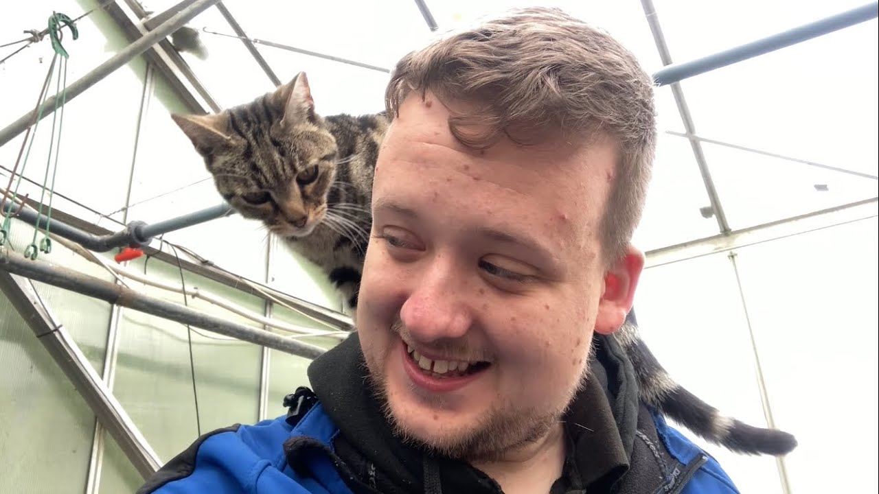 A Beautiful Cat Named Tikka, Climbed onto my back and asked for Cuddles ...