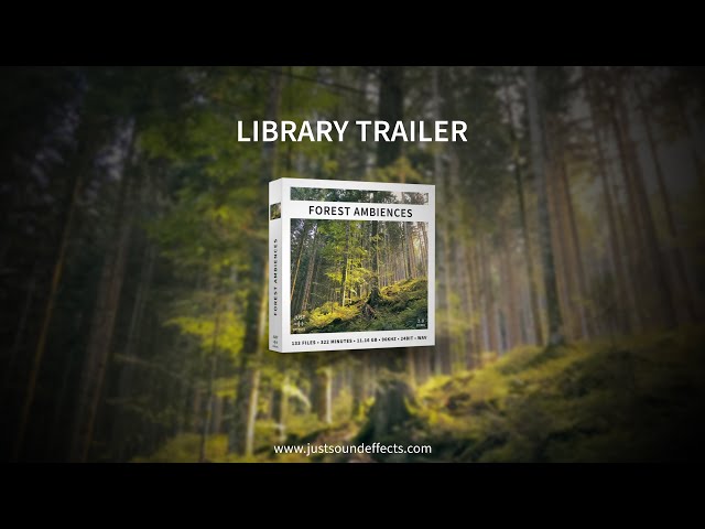 Forest Ambiences | Nature Sound Effects Library | Asoundeffect.com