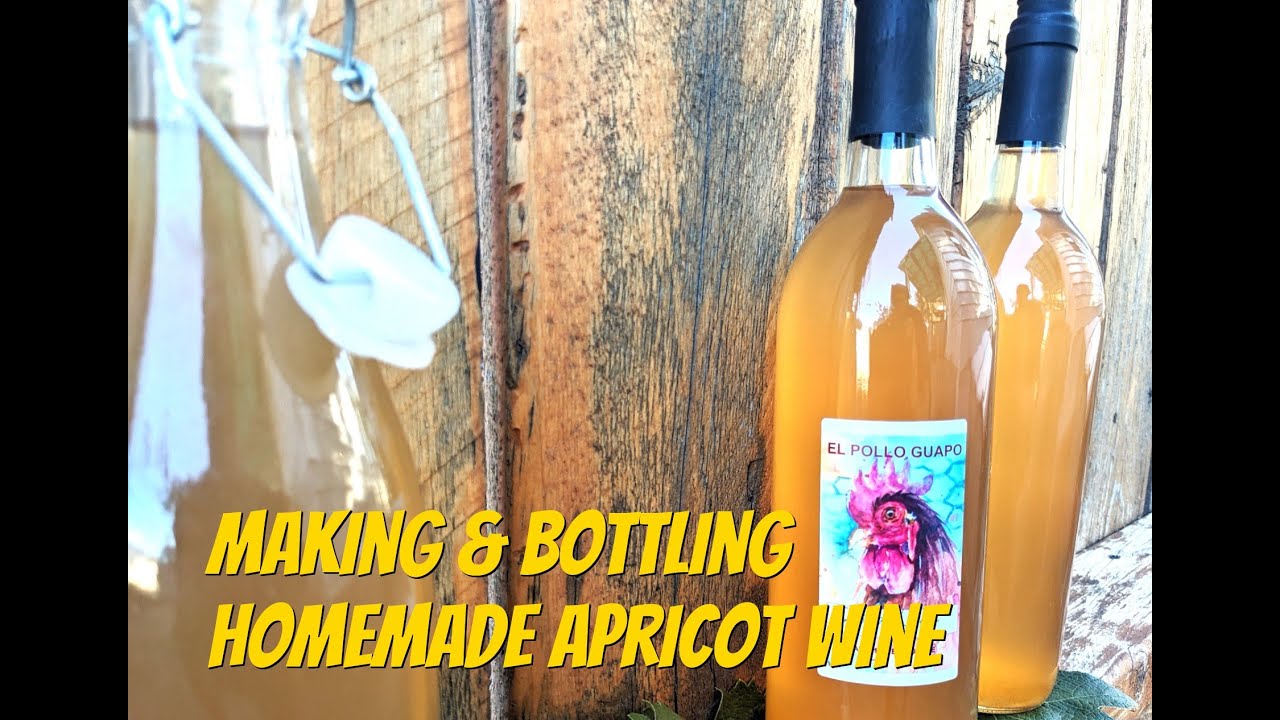 From Tree to Bottle: Quick Guide to Homemade Apricot Wine! - YouTube