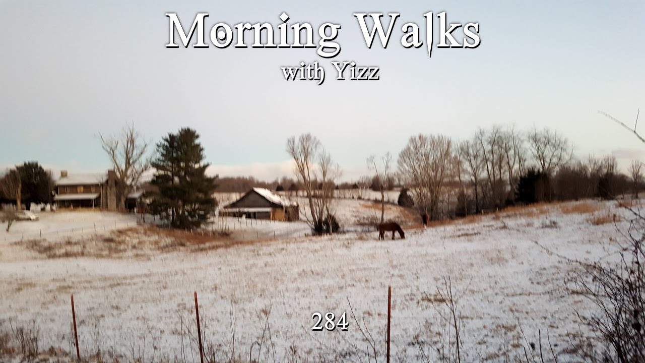 Morning Walks with Yizz 284 - YouTube