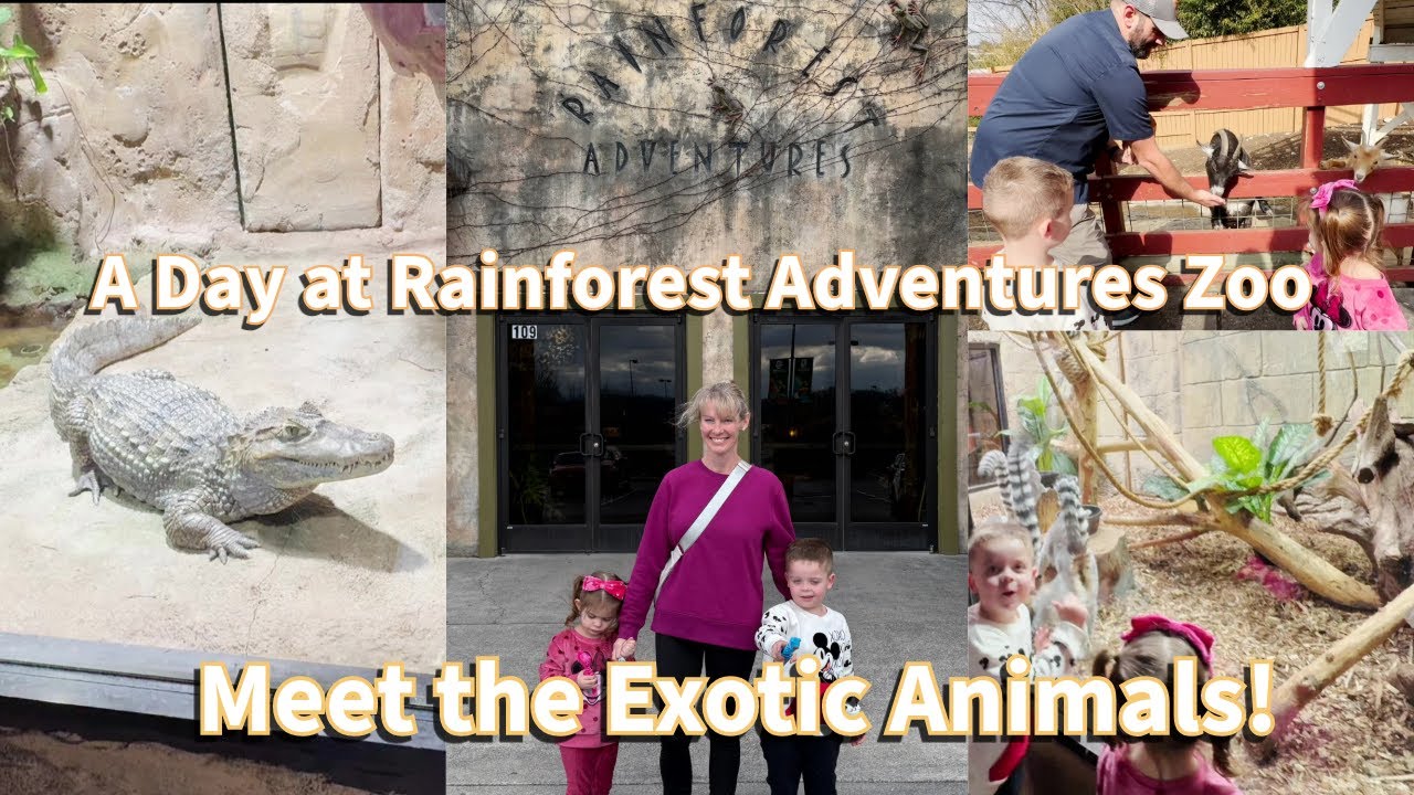 Meet the Exotic Animals: A Day at Rainforest Adventures Zoo - YouTube