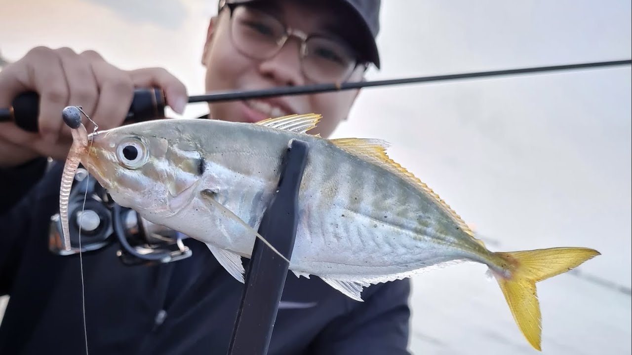 Labrador Park Yellow Scad Season | Singapore Ajing Fishing - YouTube