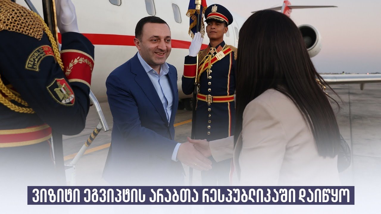 ვიზიტი ეგვიპტის არაბთა რესპუბლიკაში დაიწყო Youtube