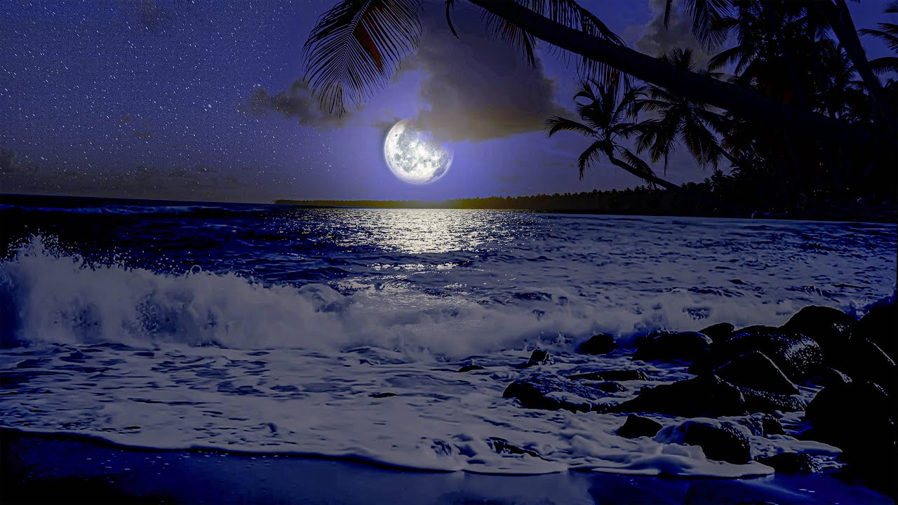 Falling Asleep Will Easy With there Deep Ocean Sounds at Night full ...