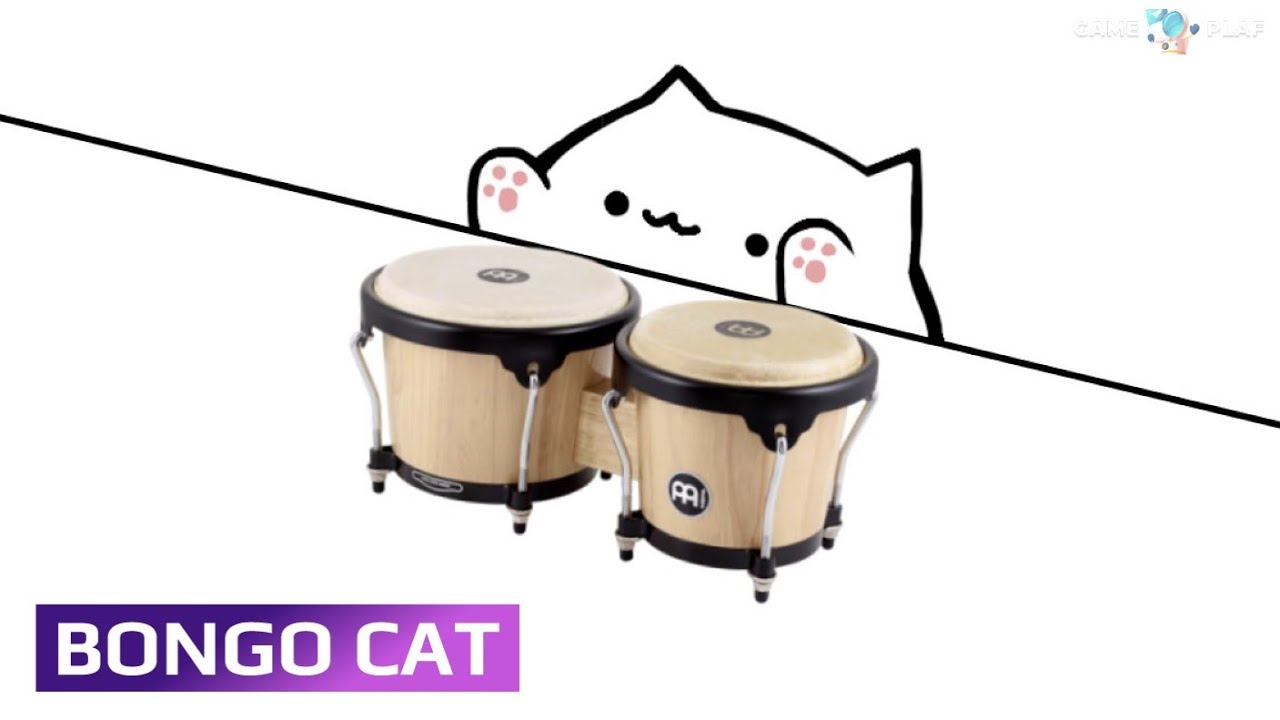 Bongo Cat Game Review - Walkthrough - YouTube