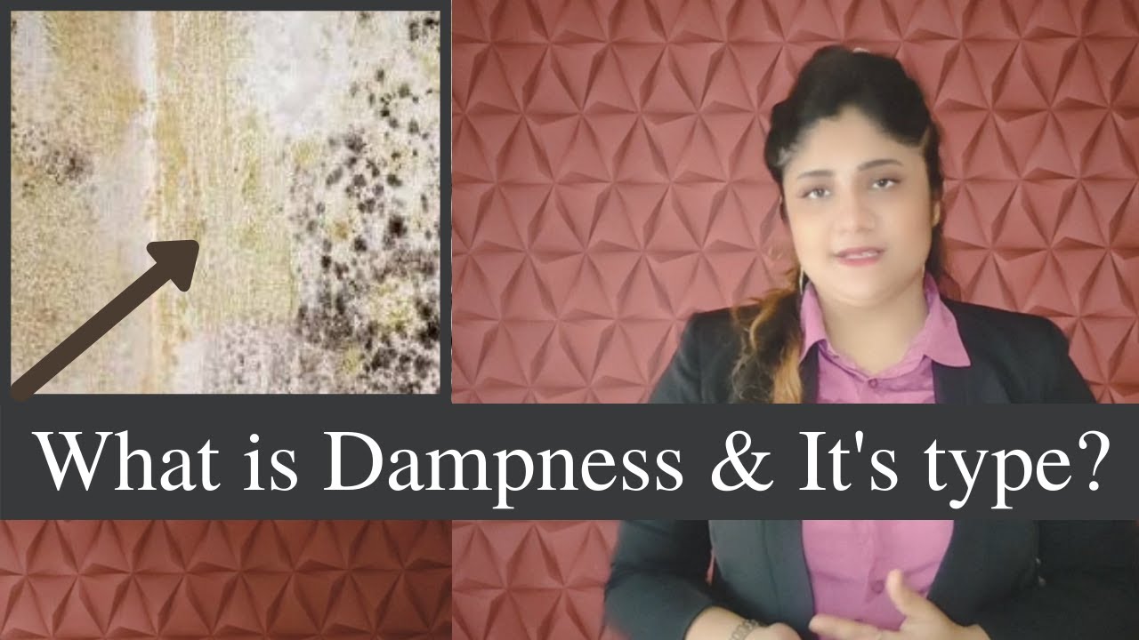 What is Dampness | Type of Dampness? - YouTube