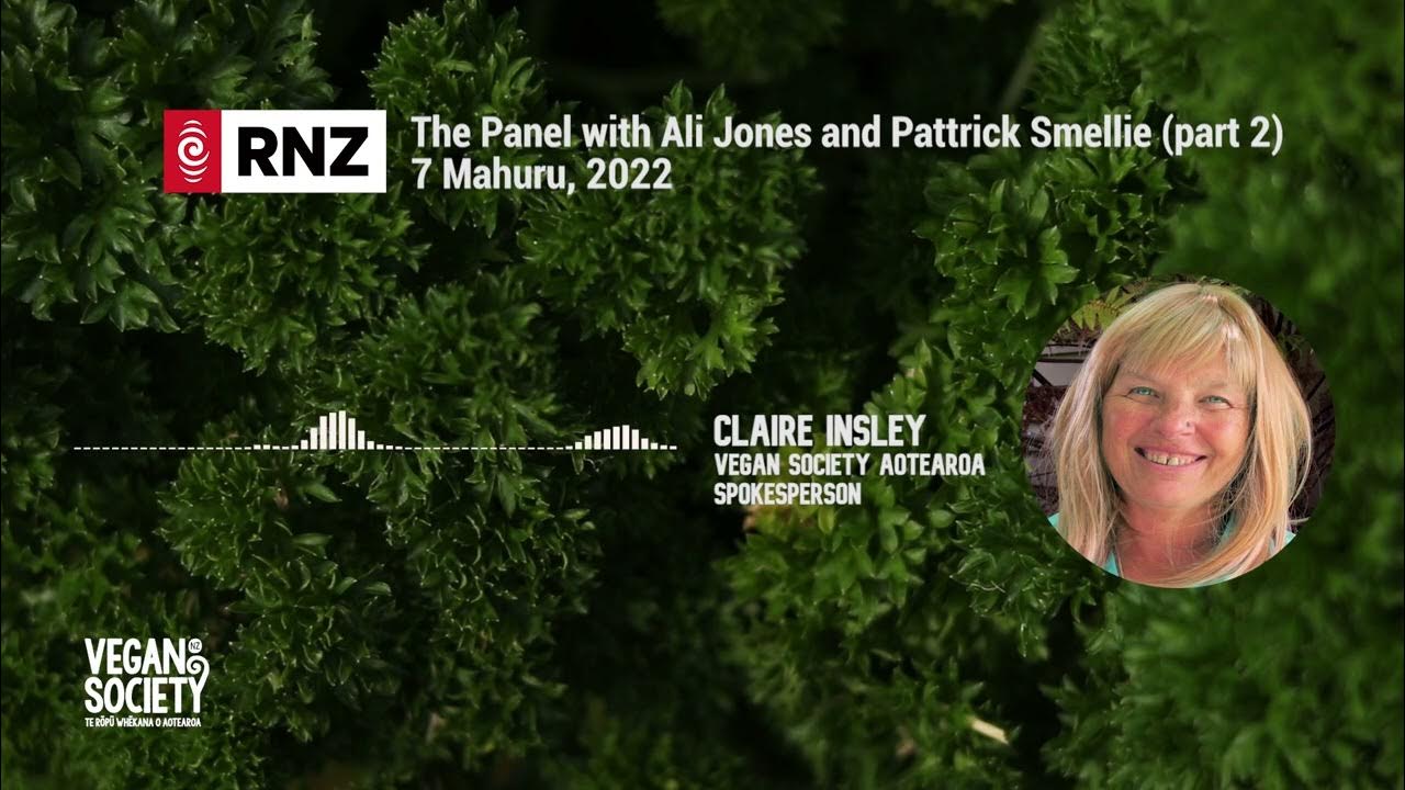 Dutch City To Ban Meat From Advertising Rnz The Panel W Karyn Hay Youtube