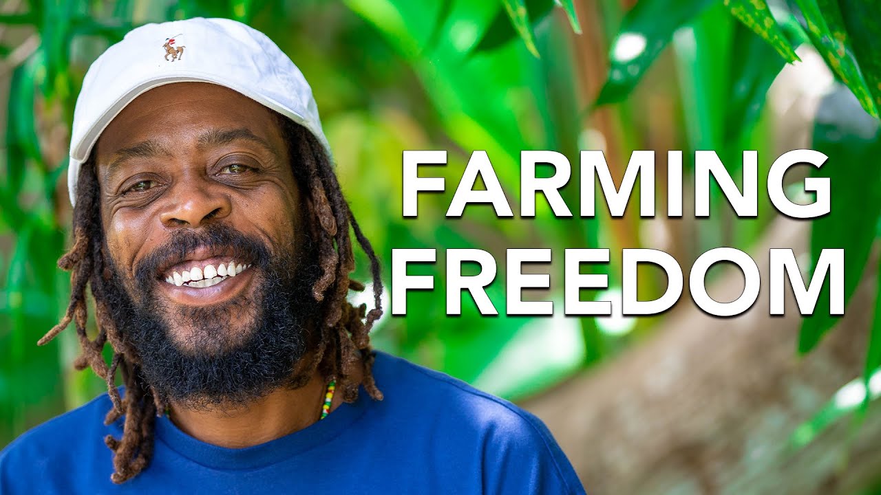 A Canadian’s Story to Jamaica - YouTube