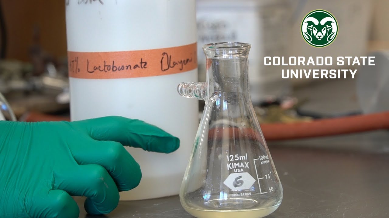 Food Waste : CSU Research Utilizing Food Waste to Make Soil Healthier ...